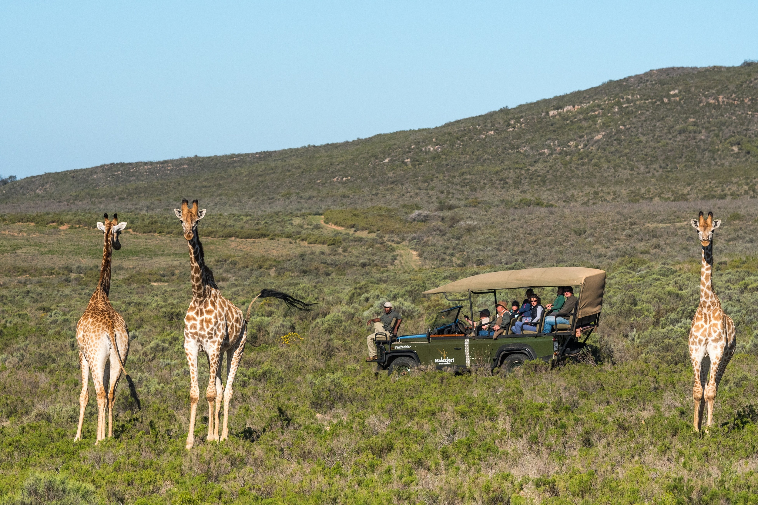 Conservation | Melozhori Private Game Reserve | Western Cape